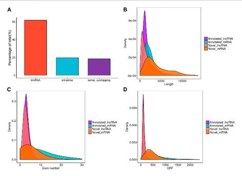 Figure 1 From Identi ﬁ Cation And Functional Analysis Of Ovarian