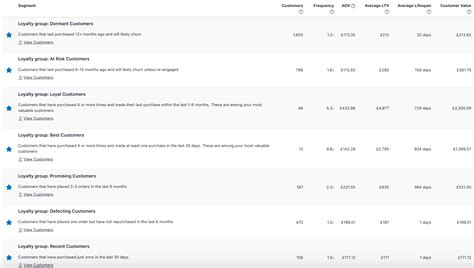 Shopify Customer Segmentation Explained 2025 Full Guide