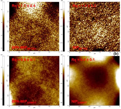 3d A And 2d B Topography Images By Atomic Force Microscopy Afm Of