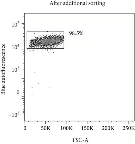 Gating Strategy For Hsc Purification Using Facs And Hsc Download
