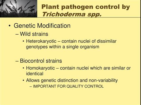 Ppt Biological Control Of Plant Pathogens Powerpoint Presentation Free Download Id 1403878