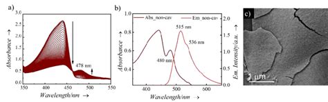 A Absorption Spectra Showing The Evolution Of Self Assembly Of Ppe In