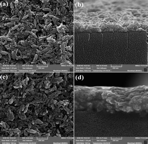Field Effect Scanning Electron Microscope Image Of α Fe2o3 Thin Films Download Scientific