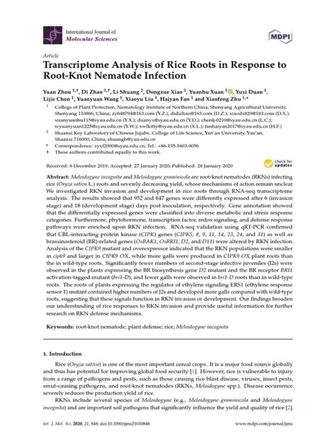 Transcriptome Analysis Of Rice Roots In Response To Root Knot Nematode