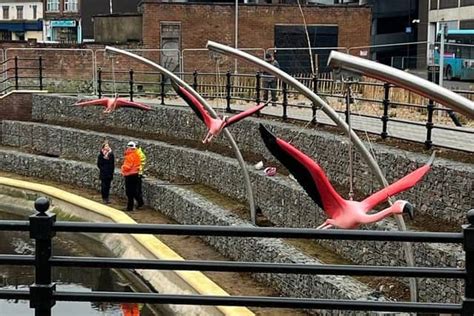 Lutons Iconic Flamingos Made A Brief Return But Installation Glitch