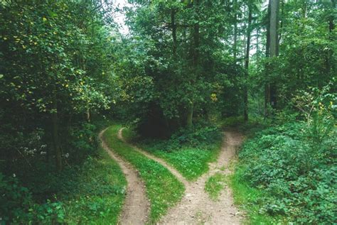 Gradient Boosting From Theory To Practice Part 1 Towards Data Science