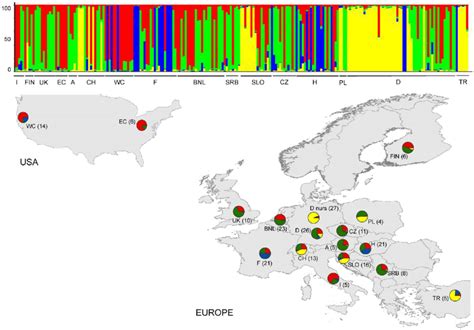 Population Clustering Of Phytophthora Plurivora Genetic Clustering K