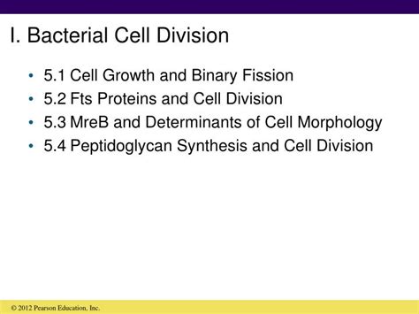Ppt I Bacterial Cell Division Powerpoint Presentation Free Download