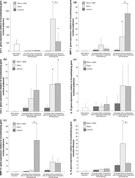 Gene Expression Of Col1 A Col2 B Mmp13 C Bmp2 D And Il1ß