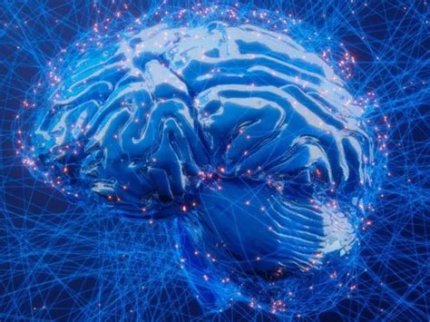 Brain Mapping Orange County Neurofeedback Brain Apping