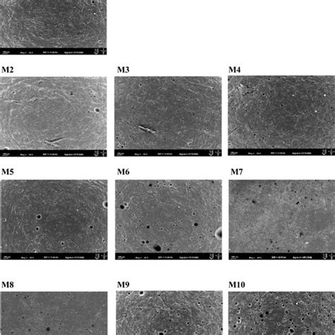 The Surface Micrographs Of The Gelatin Films Download Scientific Diagram