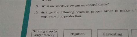 9 What Are Weeds How Can We Control Them 10 Arrange The Following Box