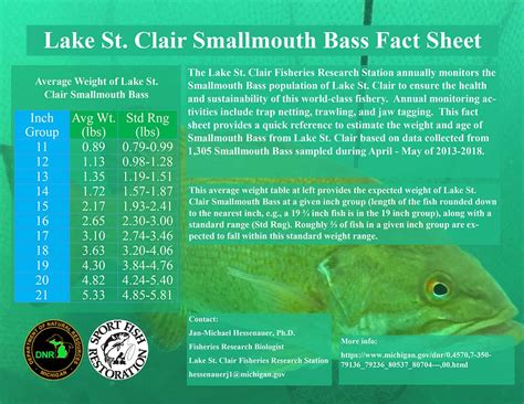 Lake St Clair Guide Magazine How Much Does My Bass Weigh