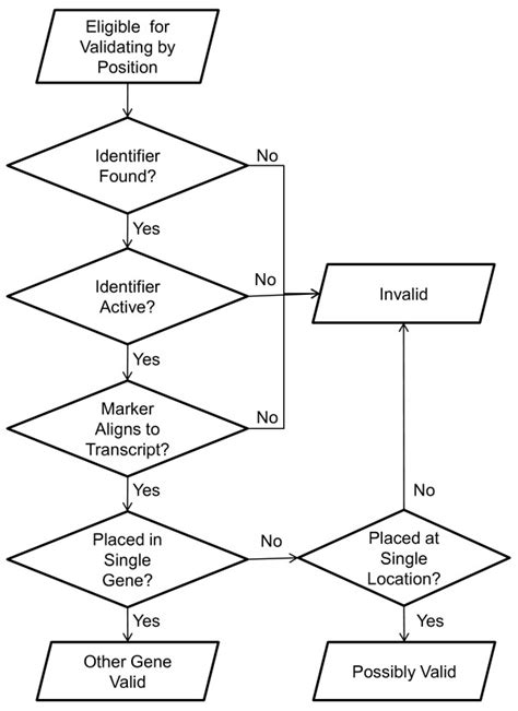 Flowchart Showing The Process Described In Methods Used To Validate A Download Scientific