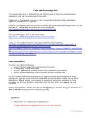 Exploring Cells And Microscopy Visualize Different Cell Types Course Hero