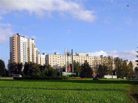 Зеленоград плюсы и минусы проживания Кайли — квартиры в новостройках Дзен