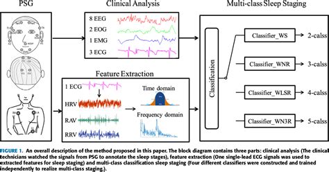 figure 1 from a multi class automatic sleep staging method based on