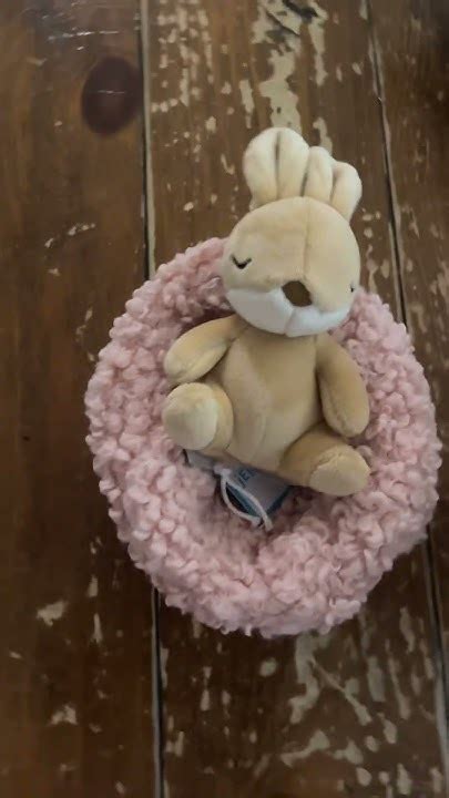 jellycats jellycat fyp ytshort likeandsubscribe youtube