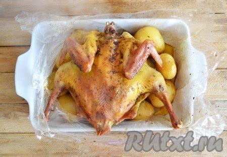 Домашняя курица в рукаве в духовке: 13 фото в рецепте