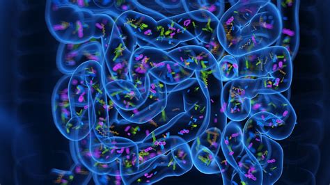 intestinal microbiome