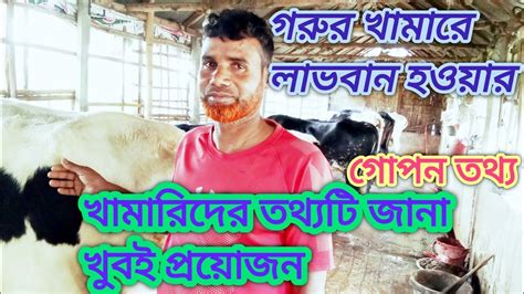 গরুর খামারে লাভবান হওয়ার গোপন তথ্য খামার দিয়ে লাভ করার উপায় Success On The Cattle Farm