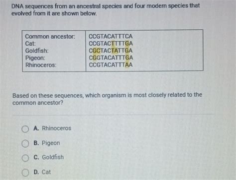 Solved Dna Sequences From An Ancestral Species And Four Modern Species That Evolved From It Are