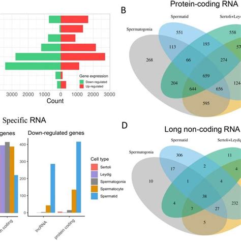 Characterization Of The Cell Types Of The Set Of Degs Degs Were