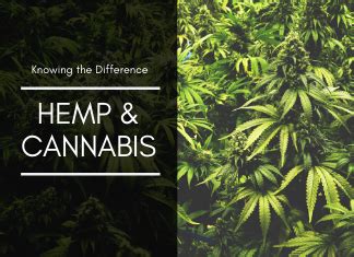 Hemp And Cannabis Whats The Difference Cannalogue