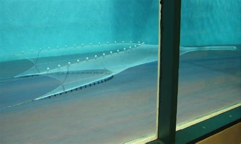 The Topless Trawl Tested In A Flume Tank Download Scientific Diagram