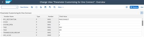 Sap Data Modeler Customizing Parameters