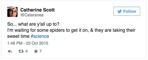 Toronto Researcher Live Tweets Spider Sex Experiment Complex