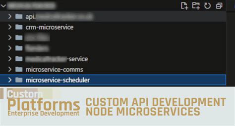 create a node microservices api for your business by customplatforms