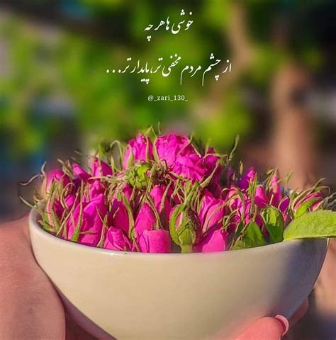 کاش بودی
