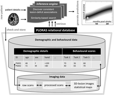 Dr Mohamed Seghier Khalifa University