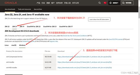 jdk21详细安装记录（windows 11） 基础资料 java教程开发文档资料 java资料网