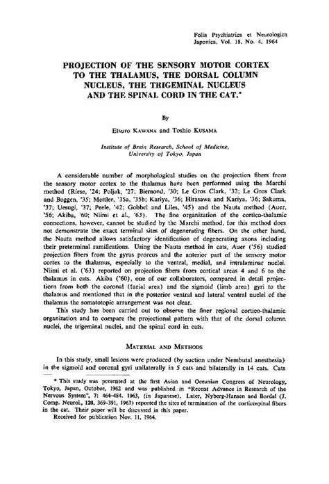 Pdf Projection Of The Sensory Motor Cortex To The Thalamus The