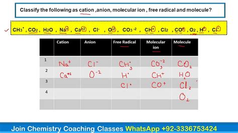 Anion Chemistry