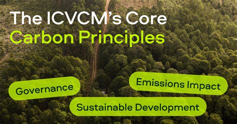 The Ic Vcms Core Carbon Principles