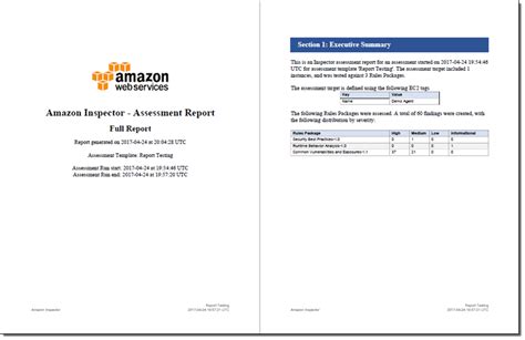 amazon inspector update assessment reporting proxy support and more