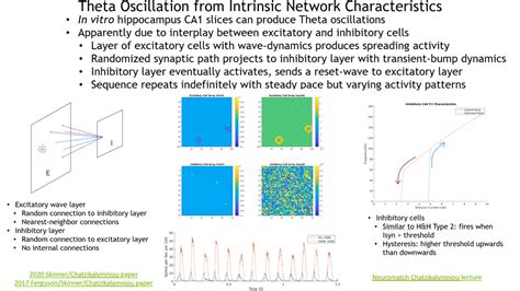 Theta Oscillation From Intrinsic Network Characteristics Simulation R