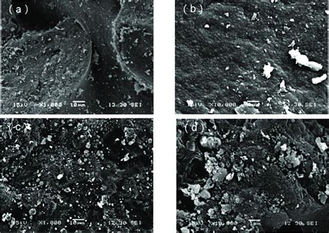 Sem Analysis Of The Coke Addition Method At A 1000 Fold And B