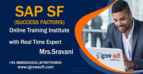 SAP Success Factors Online Training In Ameerpet Hyderabad