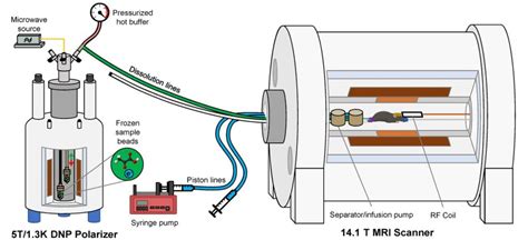 371 Highly Versatile Dissolution Dnp Implementation Of A Multi Samplemulti Nucleus Cryogenic