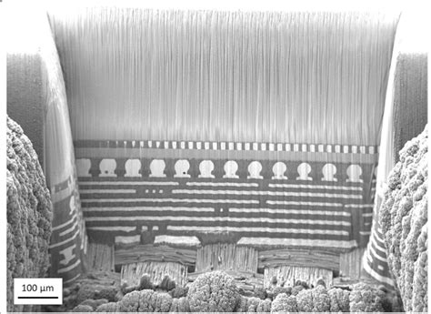 Sem Cross Sectional Image Of A 14 Nm Silicon Node 3d Flip Chip Package