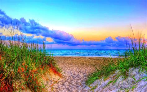 Download Our Beloved Summer Scene Wallpaper Wallpapers Com - Vrogue
