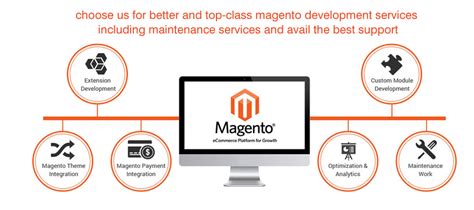 Magento Web Development Service Magento Development Service