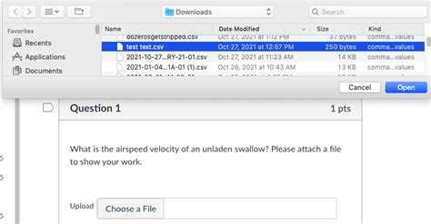 Babe Guide To Using Canvas Quizzes For Exams Stanford University