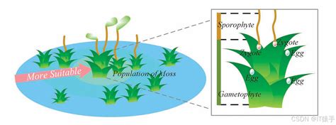 基于苔藓生长优化算法（moss growth optimization mgo）的多无人机协同三维路径规划（提供matlab代码） csdn博客