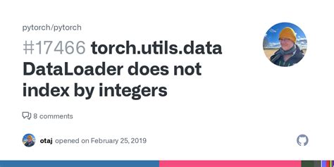 Torchutilsdata Dataloader Does Not Index By Integers · Issue 17466