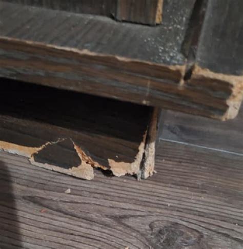 How Much Weight Will Particle Board Hold The Ultimate Guide Home Guide Corner